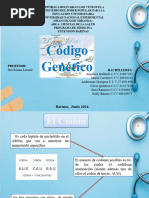 Tabla de Codones | PDF | Serina | Codigo genetico