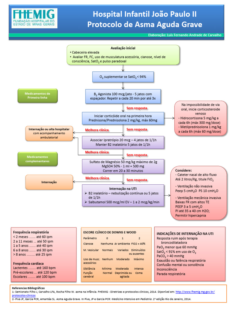 Protocolo de Asma Aguda Grave | PDF | Ciências da Saúde | Sistema de saúde