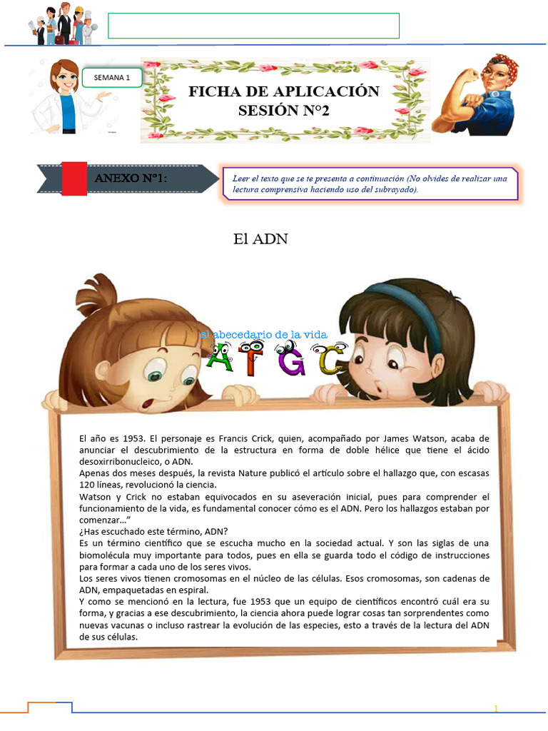 3° FICHA DE APLICACION SESION 2-SEM.1-EXP.2-CyT | PDF | Adn | Organismos