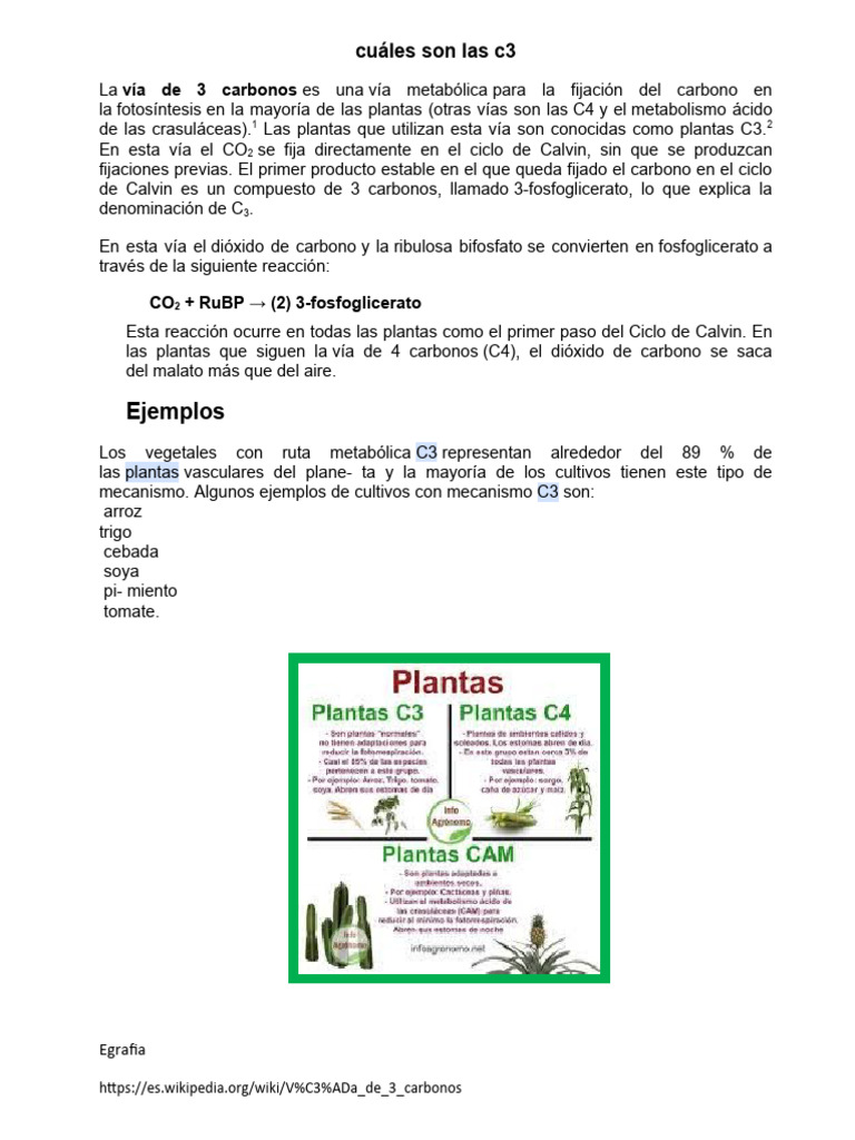 Cuáles Son Las c3 | PDF | Flores | Trifosfato de adenosina