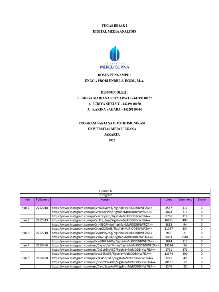 TB1 Digital Media Analysis Kel.8 - Lidiya Shelvy | PDF