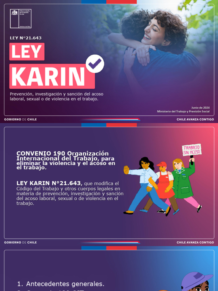 Presentacion 2024 LEY KARIN | PDF | Acoso sexual | Derecho laboral