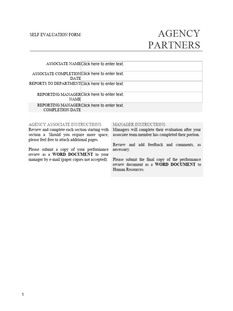 2agency Partner Self Evaluation Form 2024 - Blank | PDF | Business ...