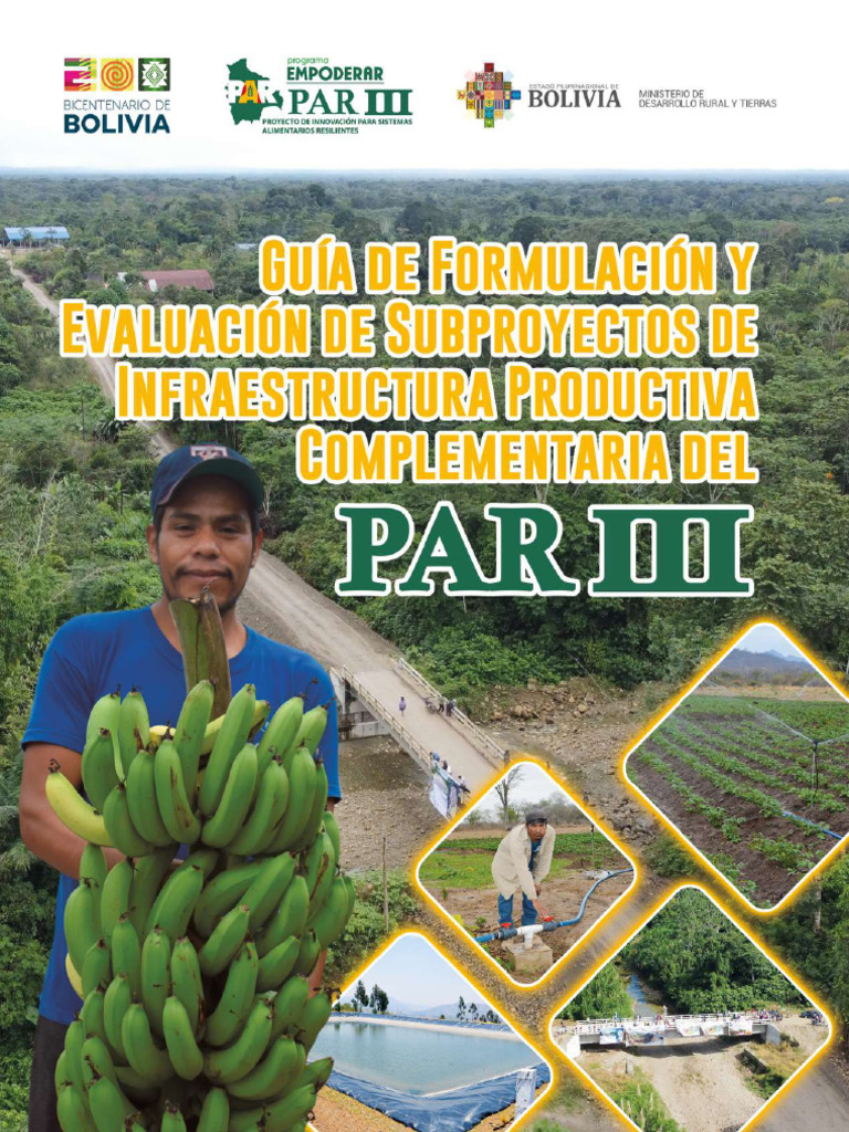 Lineamientos Formatos y Contenidos Par III | PDF | Mercado (economía ...