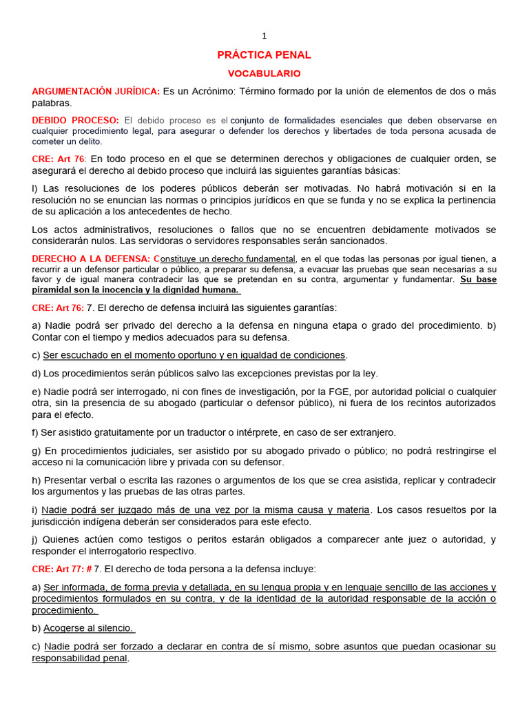 PRÁCTICA PENAL (Recuperado Automáticamente) | PDF | Debido al proceso | Evidencia