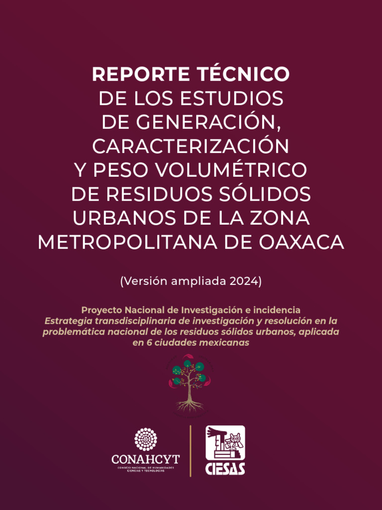 2024 Version Ampliada Reporte Estudios Generacion ZMO | PDF | Muestreo ...