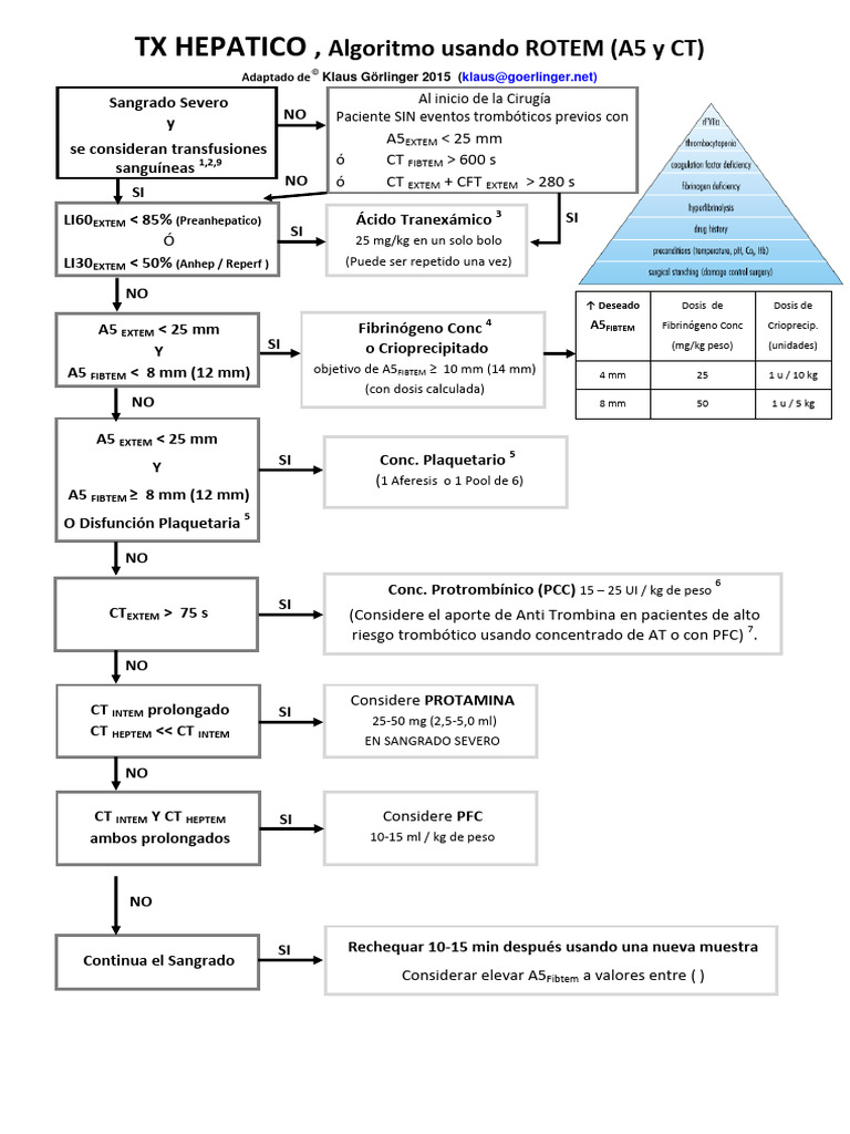 TX Hepatico - Algoritmo de Rotem Usando A5 y CT | PDF | Medicina | Sangre