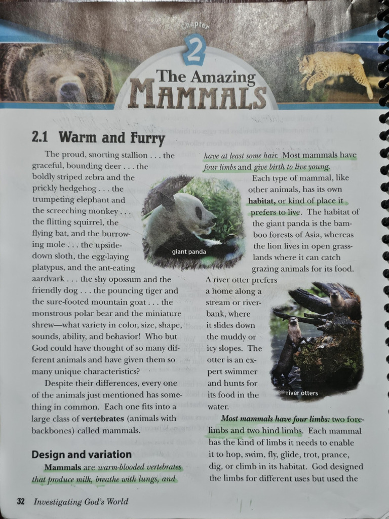 Science Mammals Test | PDF