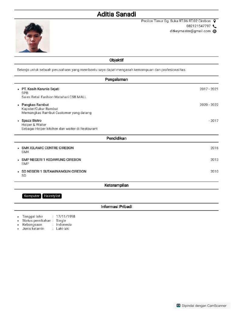 CV Aditia Sanadi | PDF