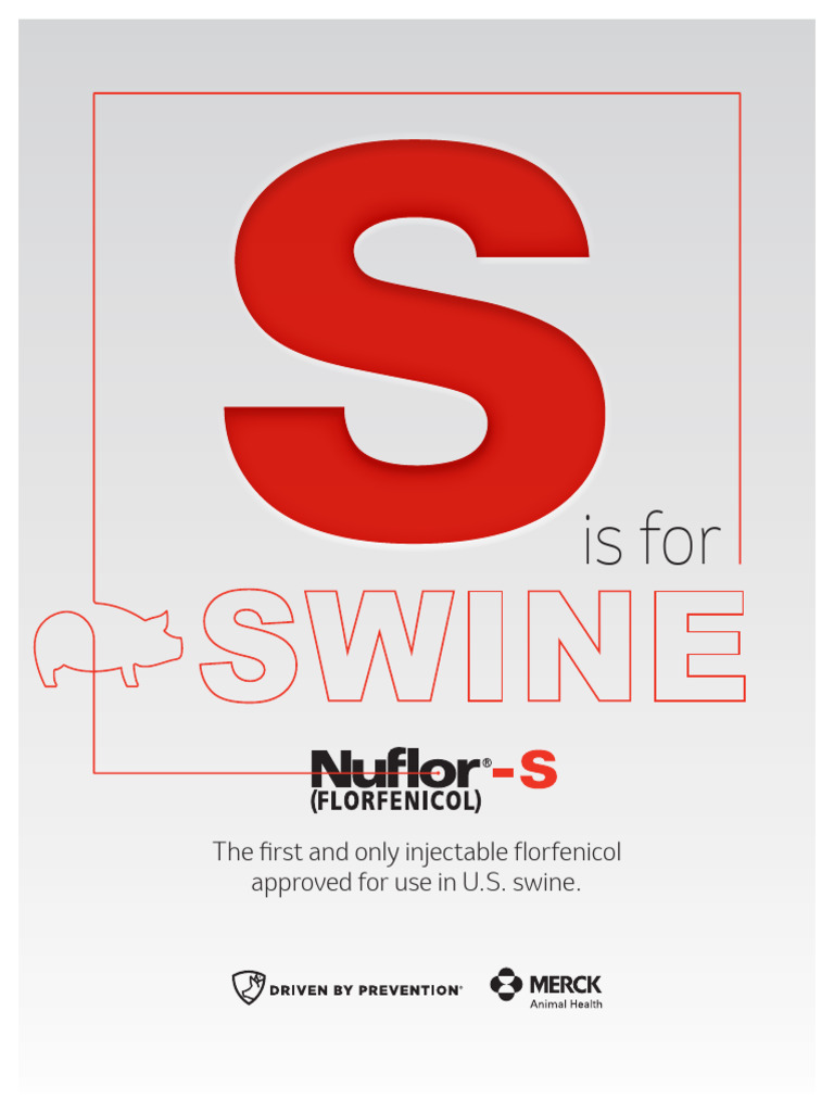 NUFLOR S Florfenicol Detailer | PDF | Drugs | Microbiology
