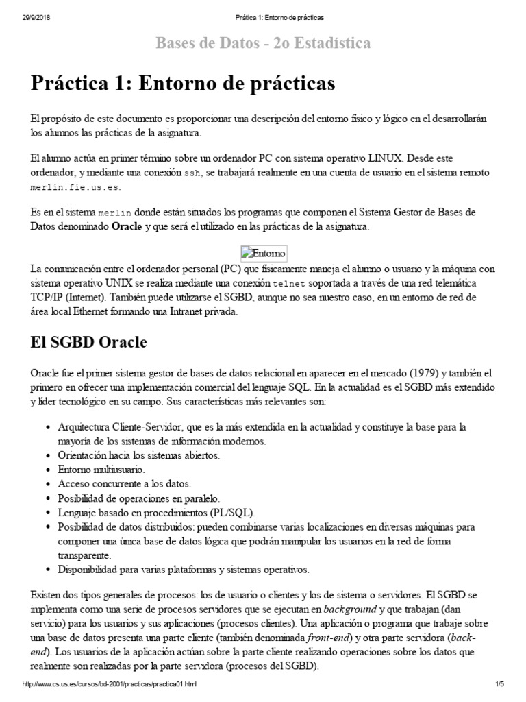 Guía de Prácticas en Oracle para Alumnos | PDF | Bases de datos | Archivo de computadora