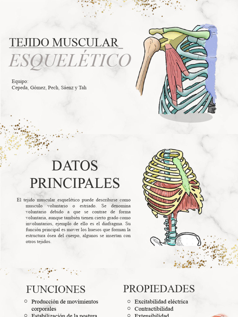 Cepeda, Gómez, Pech, Sáenz, Tah | PDF