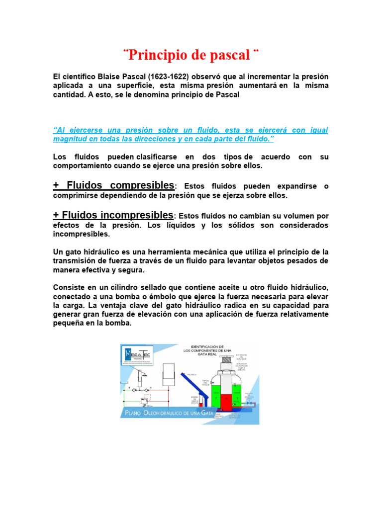 Principio de pascal 2 | PDF | Bomba | Presión