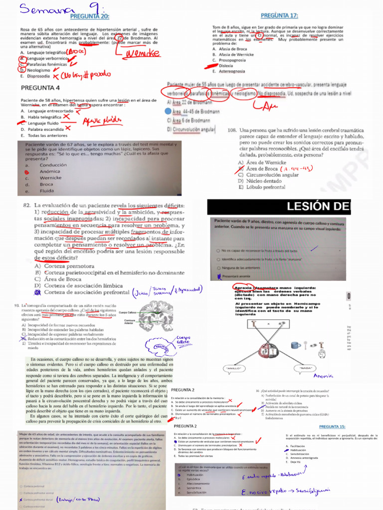 Fisio Banco Final | PDF