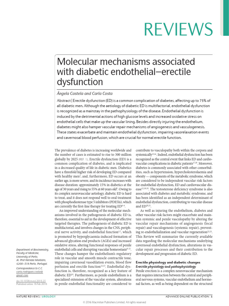 Castela2016 Molecular Mechanisms Associated With Diabetic Endothelial ...