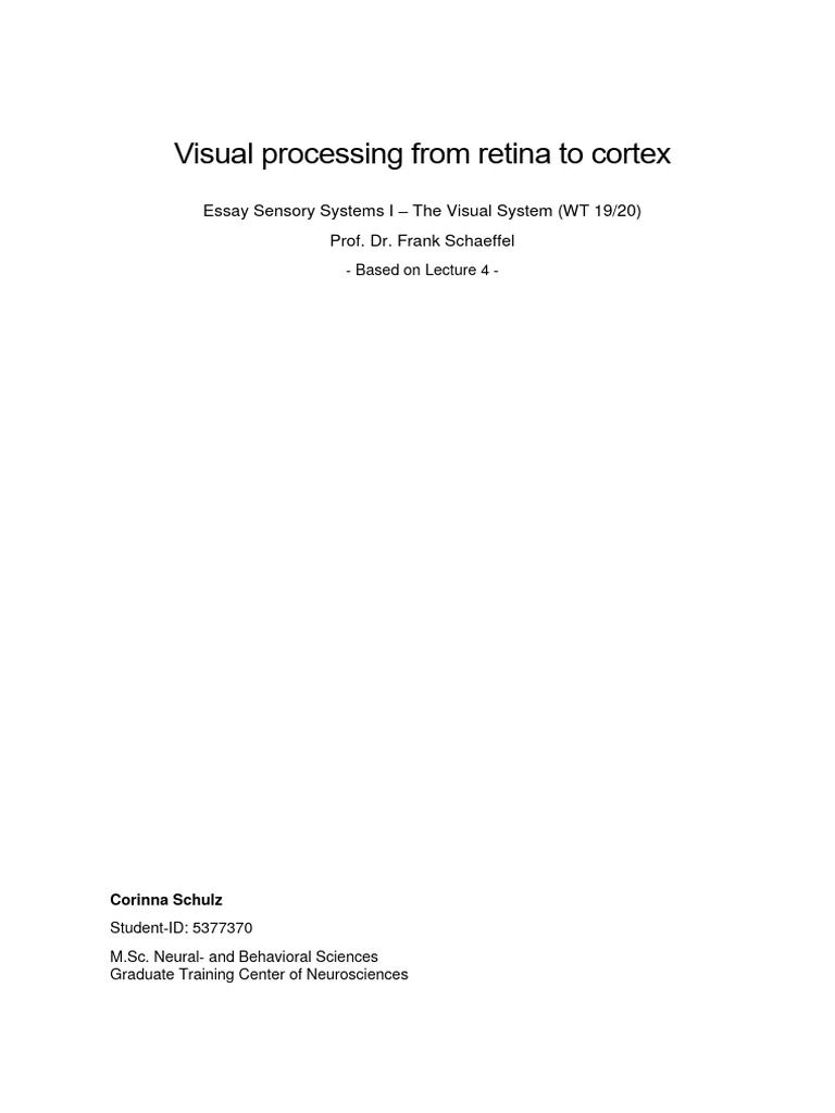 Visual Processing From Retina To Cortex | PDF | Visual System | Visual Cortex