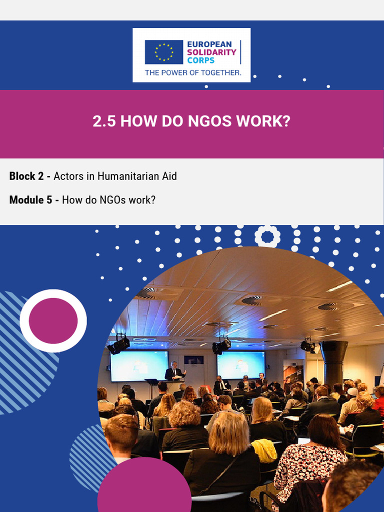 2.5 How do NGOs work | PDF | Non Governmental Organization | Project Management