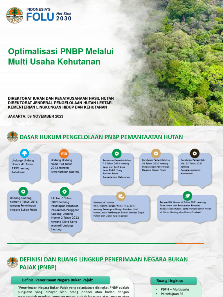 Optimalisasi PNBP Melalui Multi Usaha | PDF