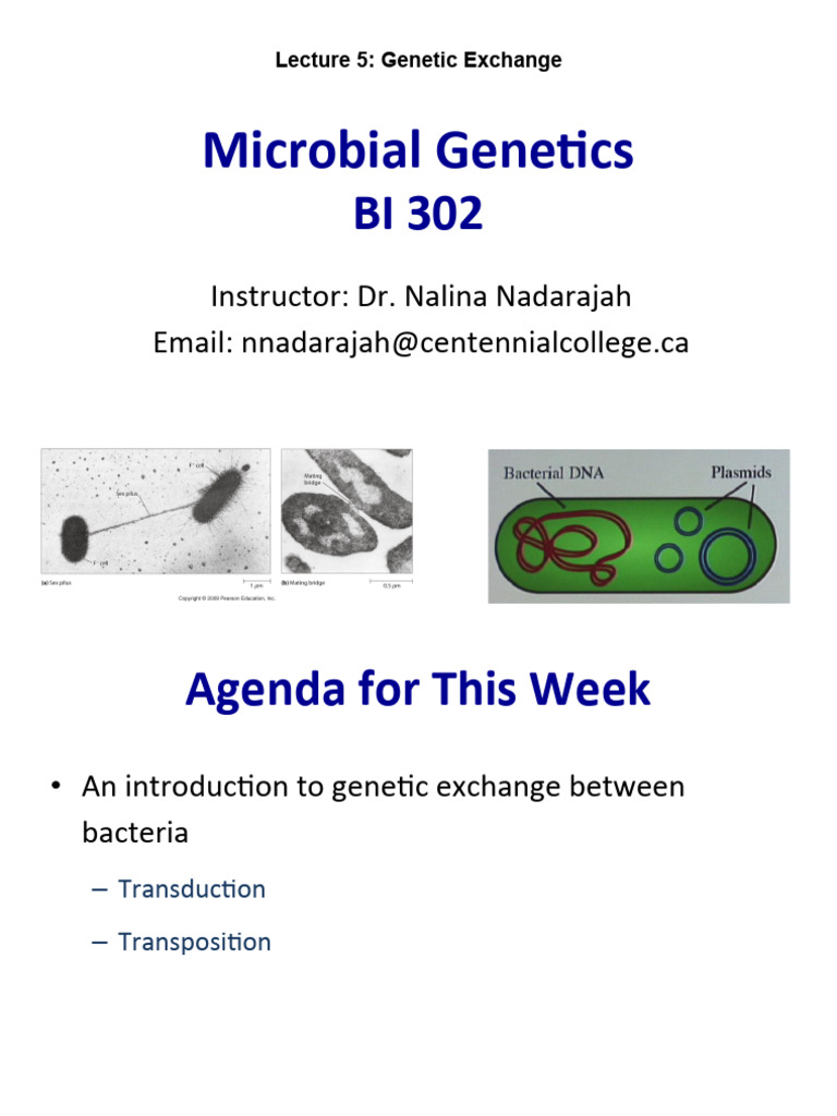 Lecture 5_Genetic Exchange | PDF | Bacteriophage | Genetics