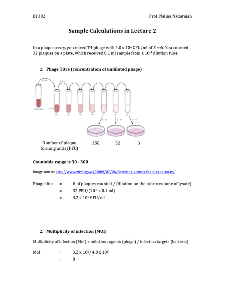 Sample Calculations in Lecture 21 | PDF | Colony Forming Unit ...