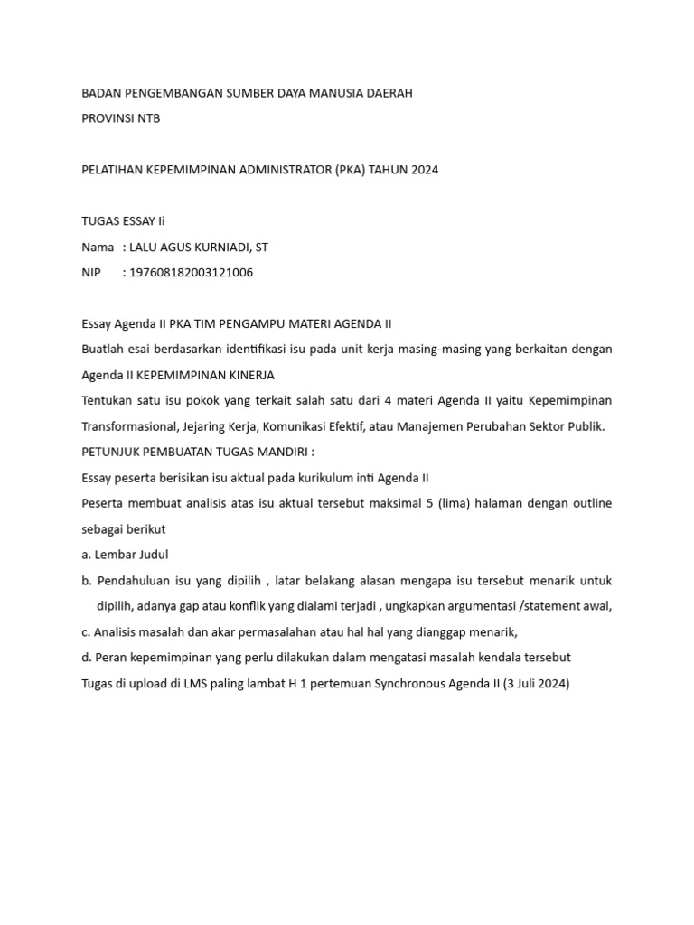 Tugas Essay Ii | PDF