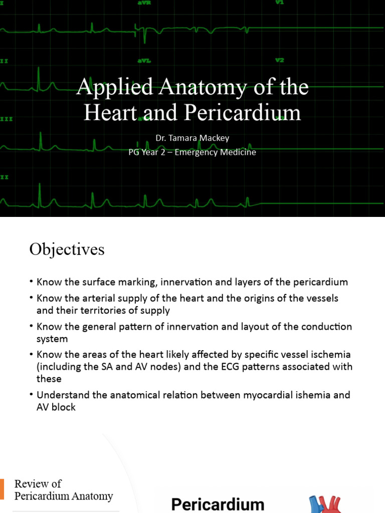 Anatomy and Ischemia of the Heart | PDF | Heart | Myocardial Infarction
