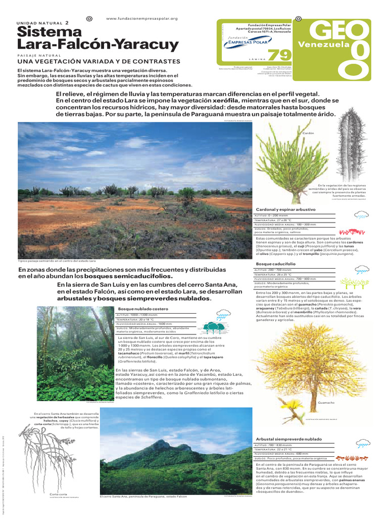 Geo U2 l79 Lara Falcon Yaracuy Vegetacion | PDF | Ciencias de la Tierra ...