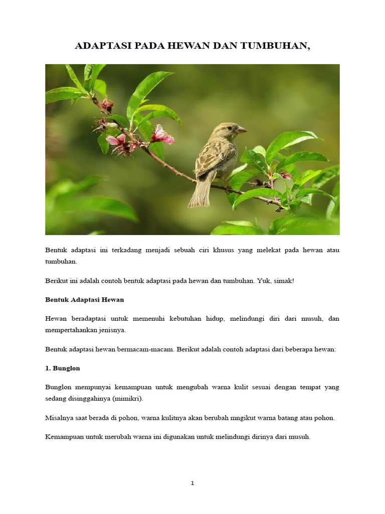 ADAPTASI PADA HEWAN DAN TUMBUHAN | PDF ADAPTASI PADA HEWAN DAN TUMBUHAN | PDF