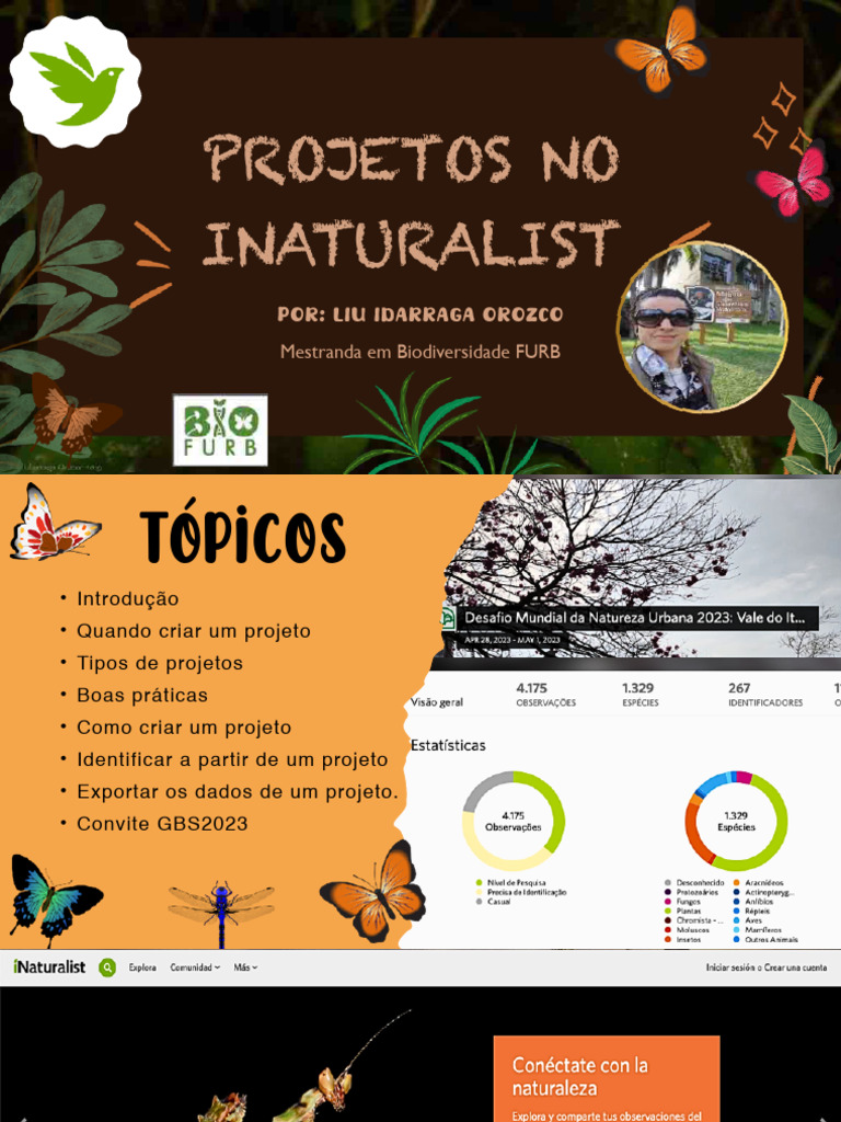 Guia de Projetos no iNaturalist | PDF
