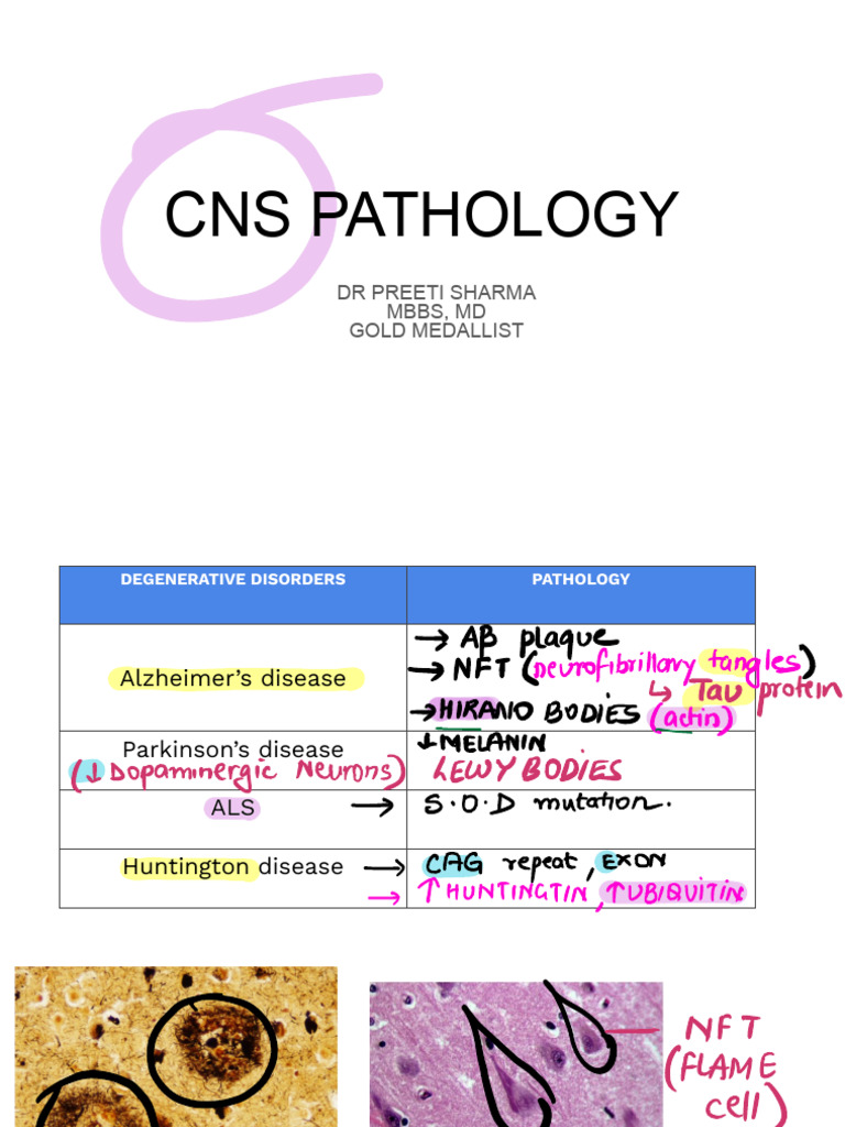10. CNS Pathology | PDF | Diseases And Disorders | Human Diseases And Disorders