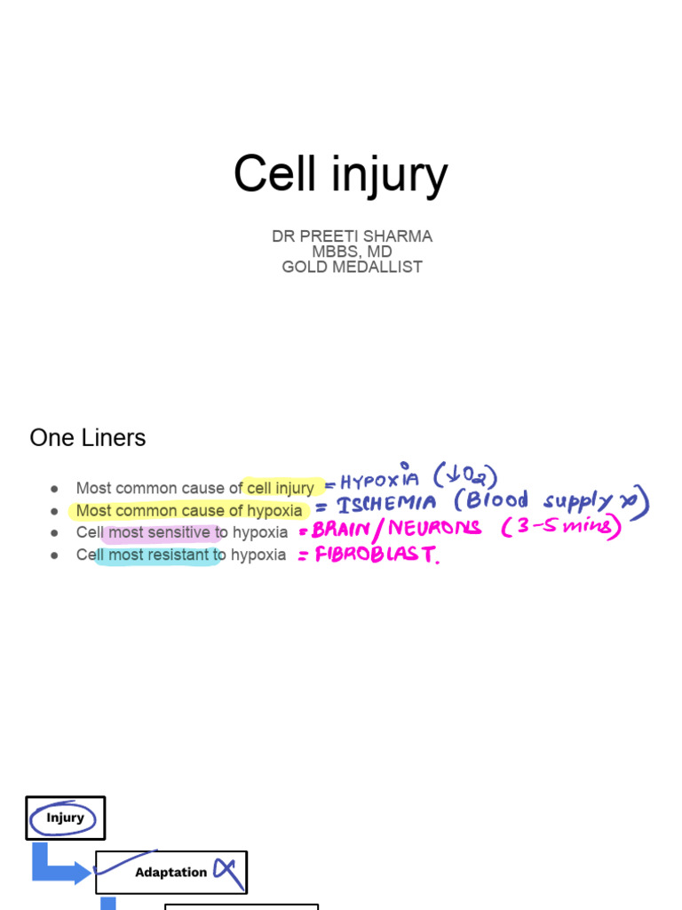 Understanding Cell Injury Mechanisms | PDF | Apoptosis | Necrosis