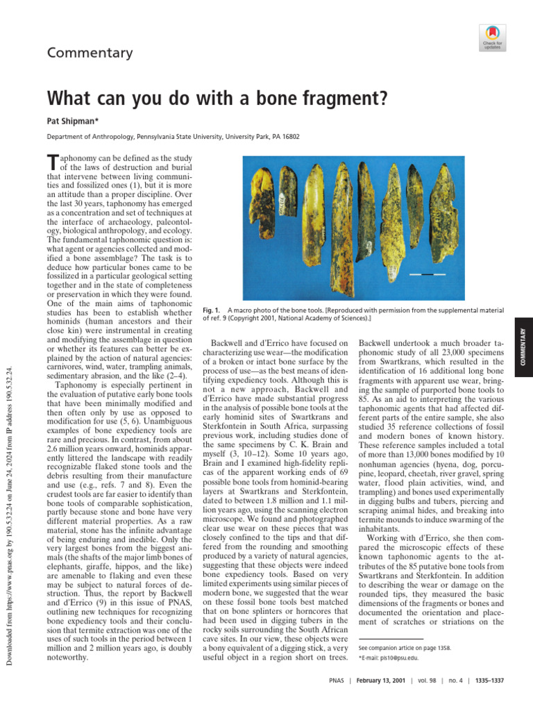 Shipman, P. (2001) - What Can You Do With A Bone Fragment | PDF