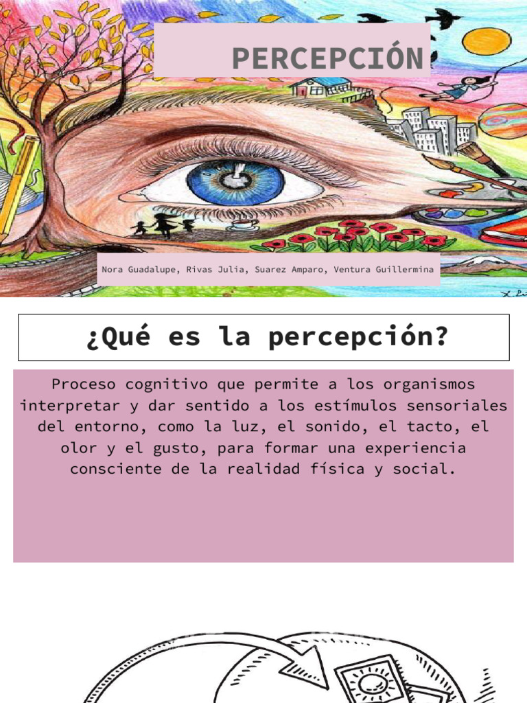Comprendiendo la Percepción Humana | PDF | Percepción | Percepción visual