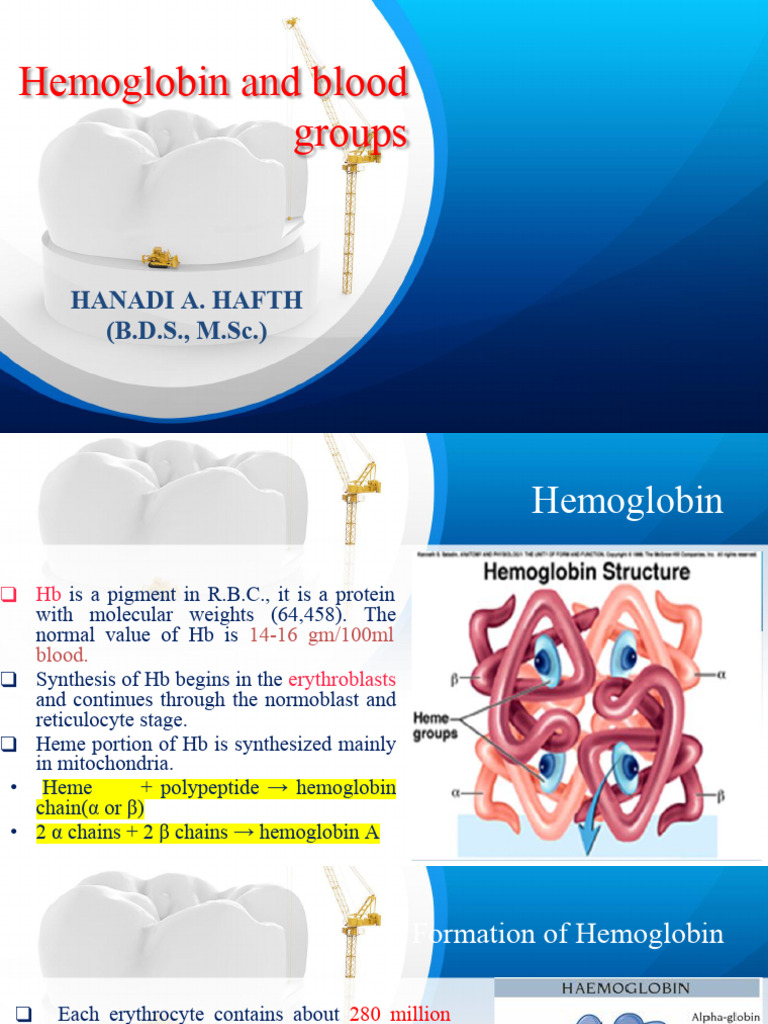 Phy6 | PDF | Hemoglobin | Blood Type