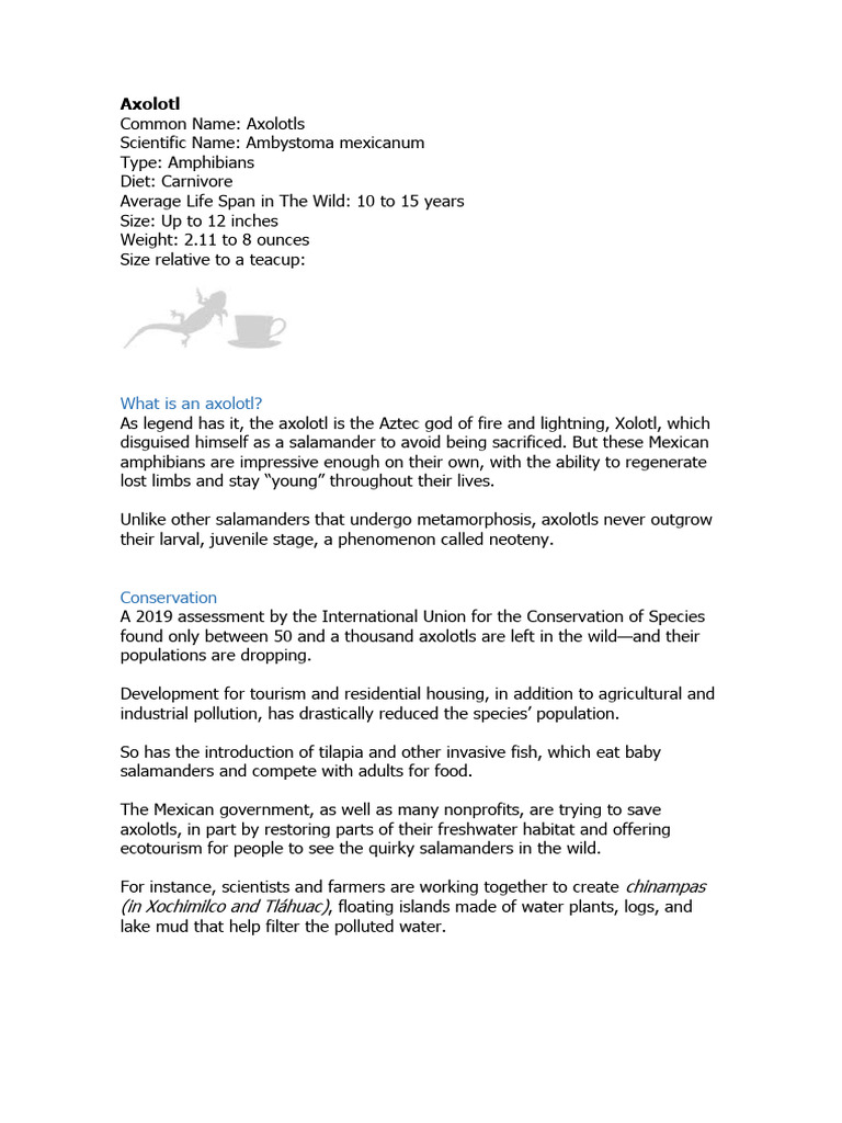 Axolotl | PDF