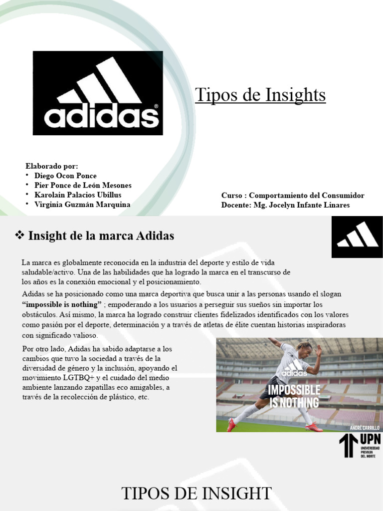 Adidas Insight | PDF | Marca | Adidas