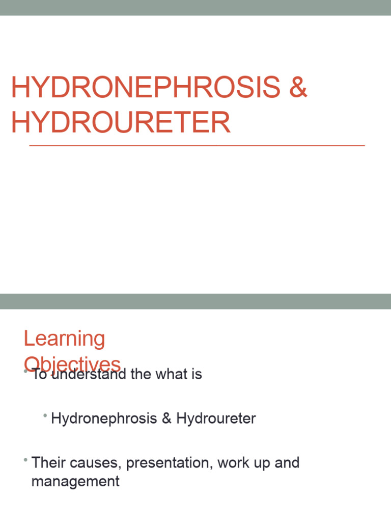 Hydronephrosis and Hydroureter | PDF