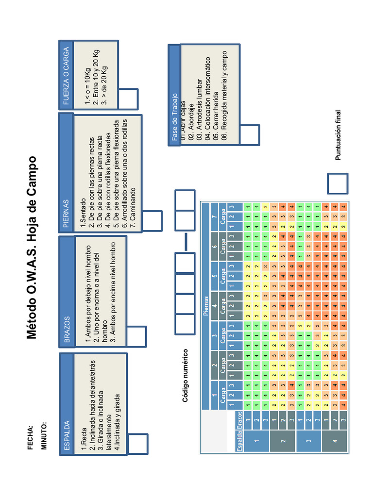 Hoja de Campo - Método OWAS | PDF