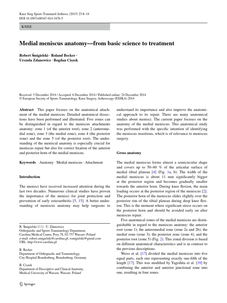 1 Medial Meniscus Anatomy From Basic Science To Treatment 3302681439 ...