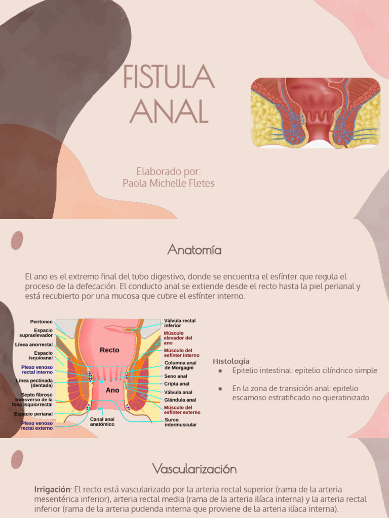Fistula Anal | Descargar gratis PDF | Recto | Diagnostico medico