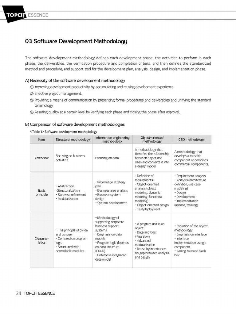01 Software Development | PDF