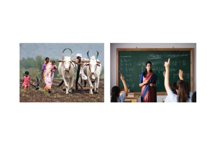 Farmer - Teacher | PDF