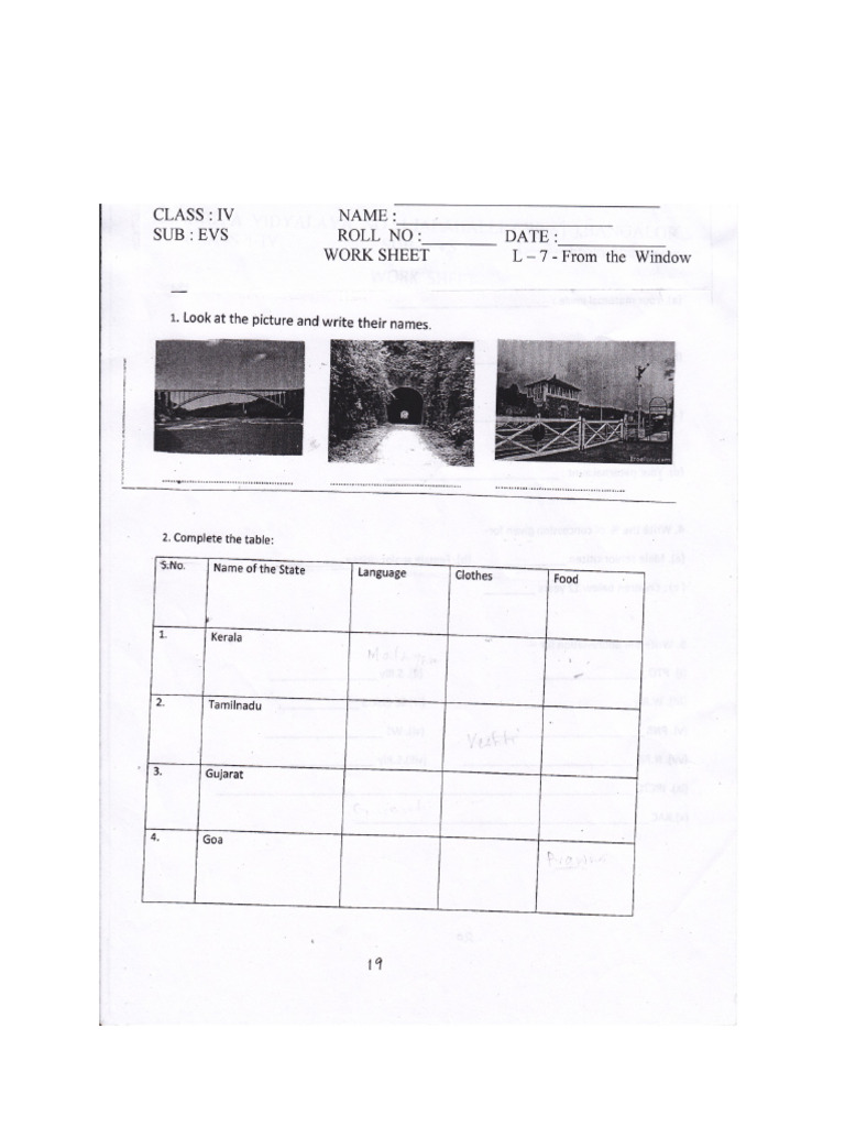 CBSE Class 4 EVS Revision Worksheet (37) - From The Window | PDF