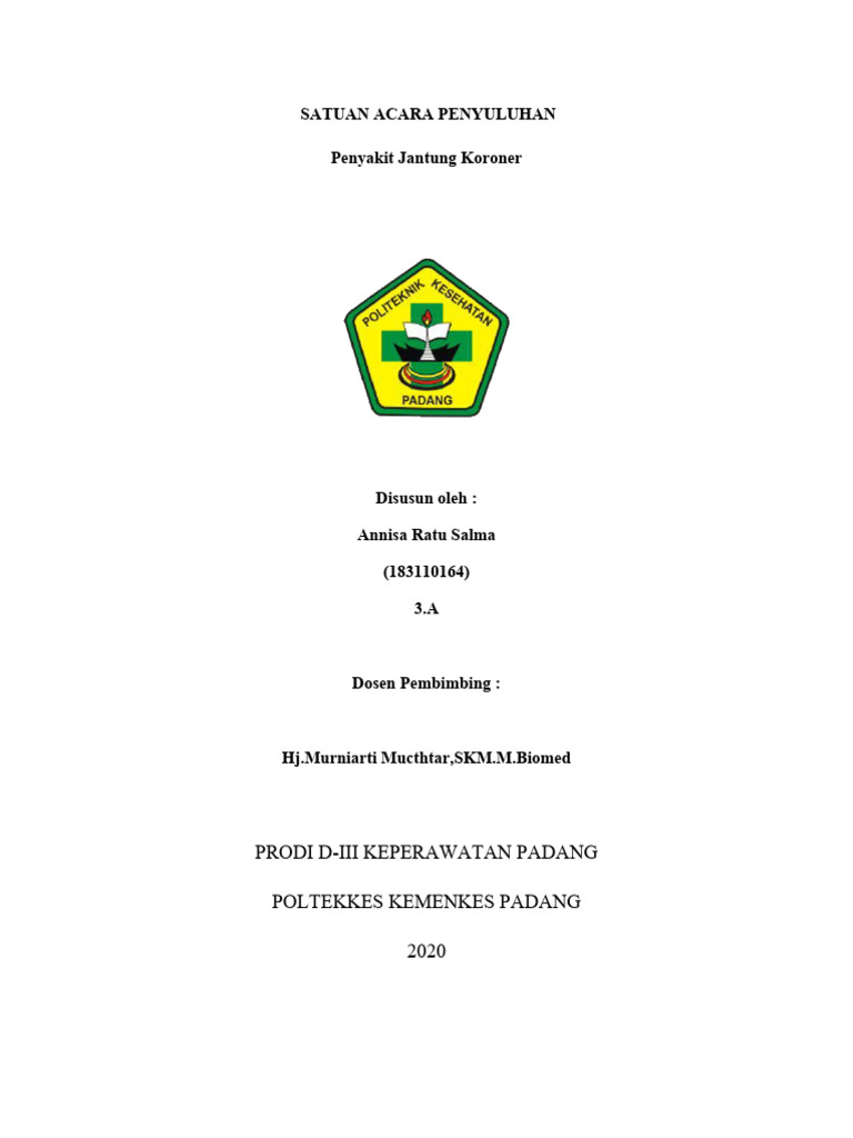 SAP PJK - Annisa Ratu Salma 3A | PDF | Sains & Matematika