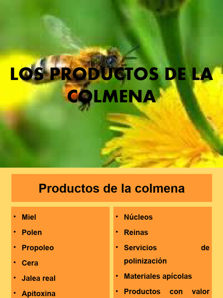 Productos de La Colmena | PDF | Miel | Cera
