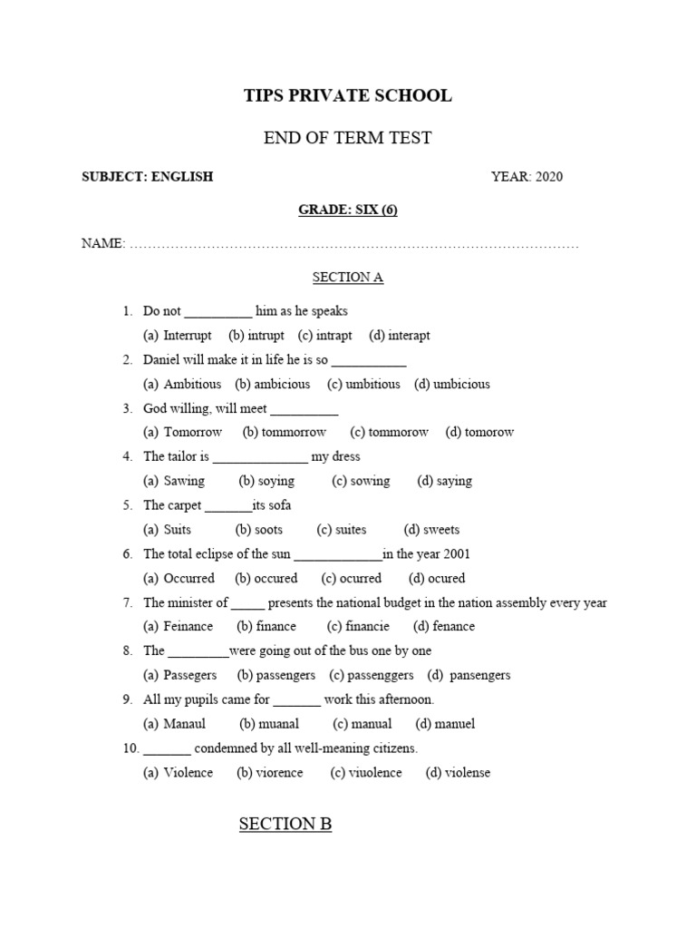 Grade 6 English Exam Practice | PDF