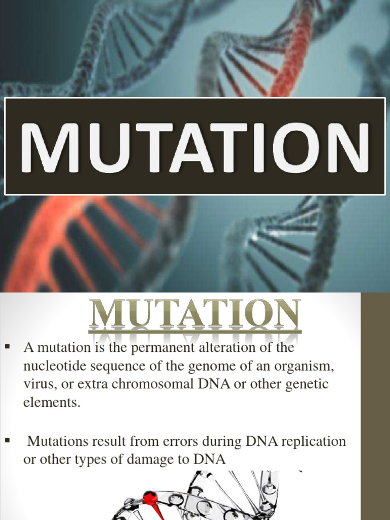 Mutationppt 170306151530 | PDF | Point Mutation | Mutation