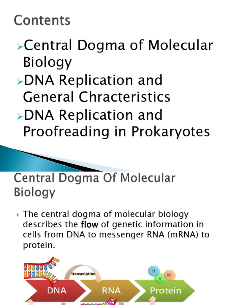 Dnareplication2 170410185549 | PDF | Dna Replication | Primer ...
