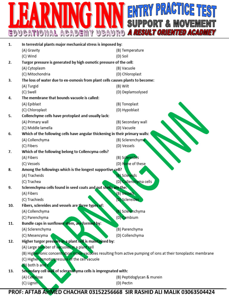 Bio 12TH Support & Movement Practice Test | PDF | Muscle Contraction ...