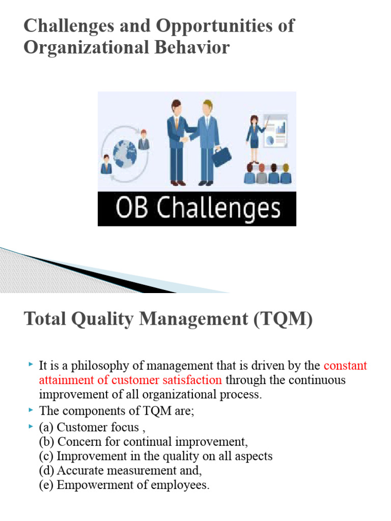 OB Challenges & Increasing Scope | PDF | Diversity (Business) | Employment